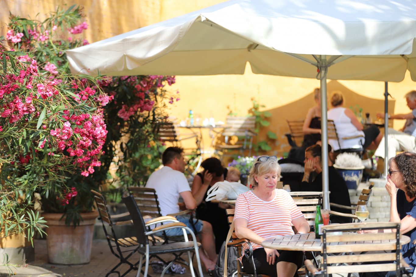 Om Hotel Fy & Bi - Hotel Fy & Bi ApS